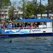 Orange Beach: Dolphin-Watching Eco-Boat Tour - 2026 (Verified Reviews)