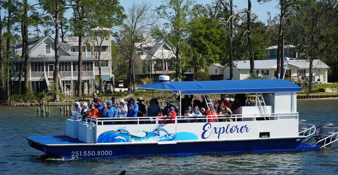 Orange Beach: Tour en barco ecológico para avistar delfines | GetYourGuide
