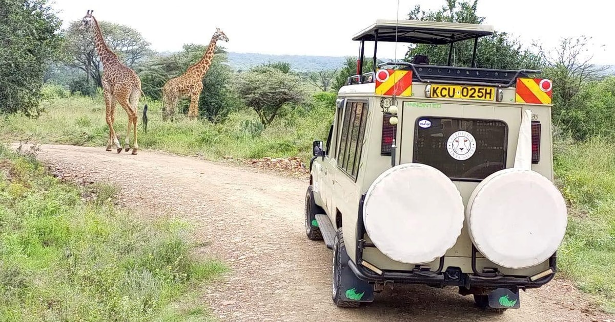 SAFARI ECONÓMICO DE 3 DÍAS POR EL MAASAI MARA EN LAND CRUISER 4X4 ...
