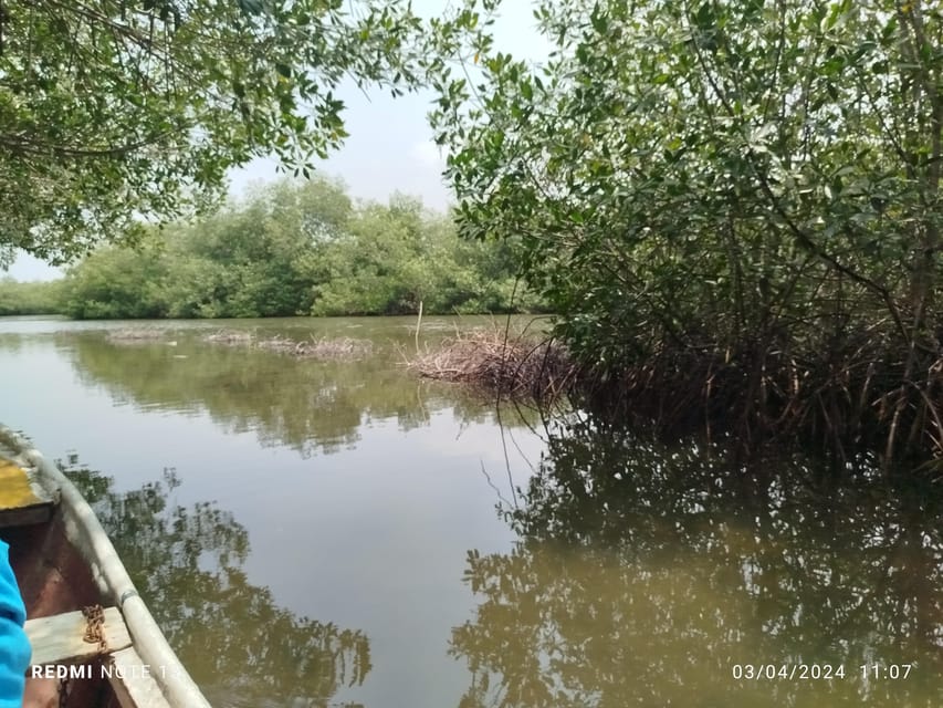 Cartagena: Vive la magia del manglar y disfruta de la pesca | GetYourGuide