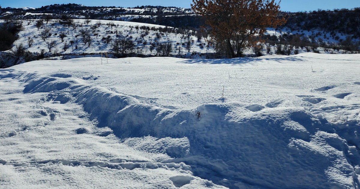 Chimgan mountains: 1 day round trip to Chimgan mountains | GetYourGuide