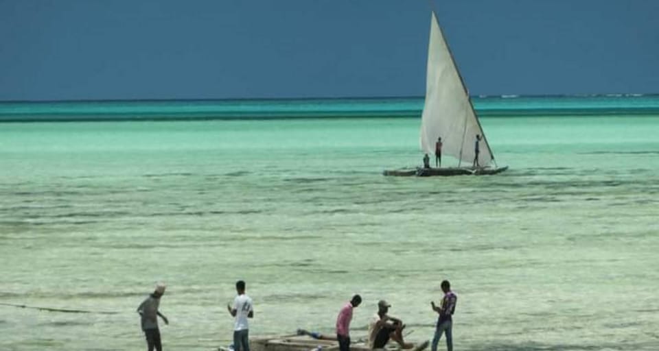 Isla de Pemba - Vacaciones en la playa | GetYourGuide