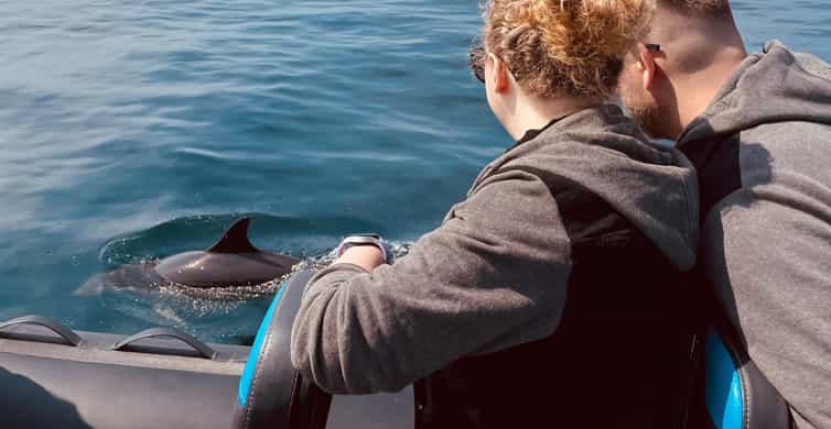 Sesimbra:Private Dolphin Watching Tour Arrábida Natural Park | GetYourGuide