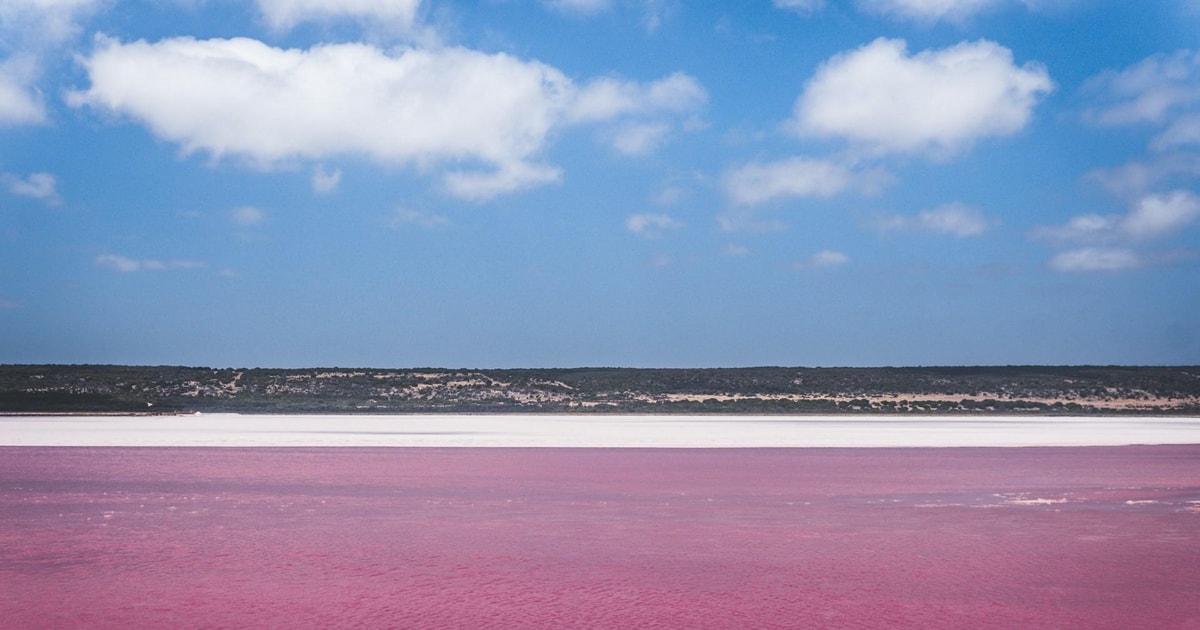 Da Valencia: Laguna Rosa e Alicante, colori, mare e sole | GetYourGuide
