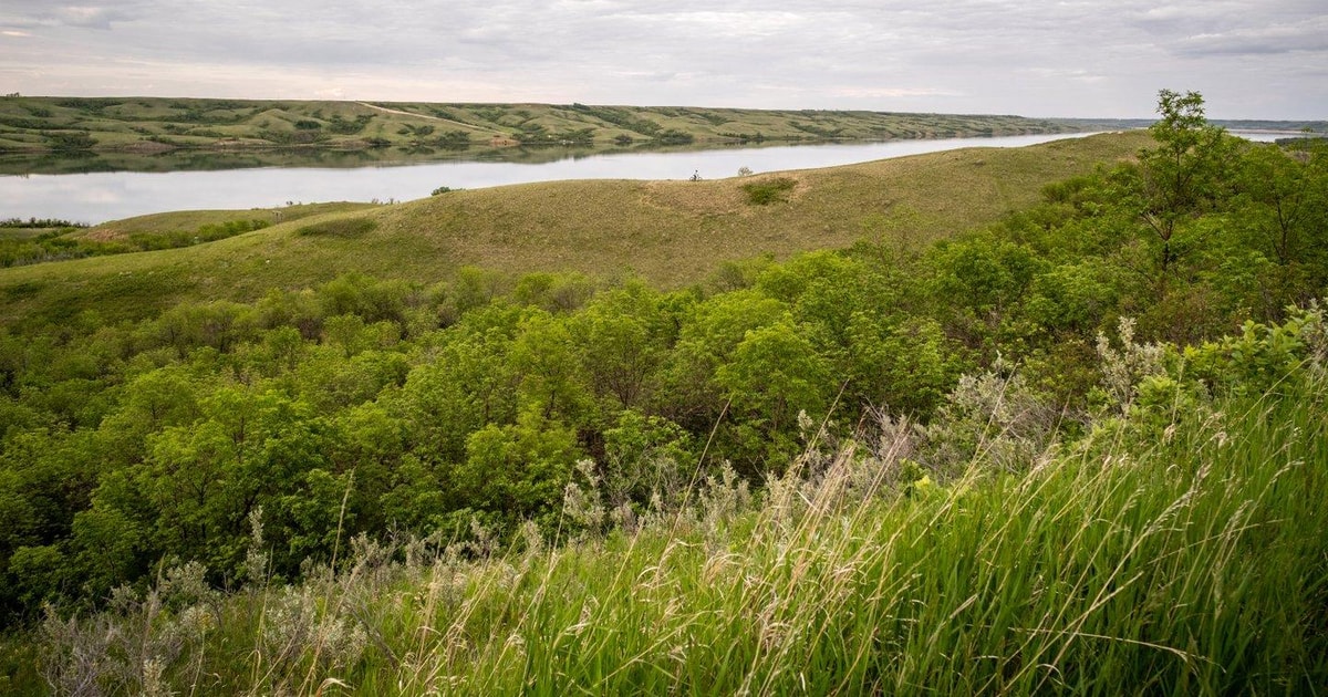 Buffalo Pound Park vogelobservatie privétour | GetYourGuide