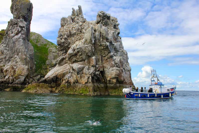 Dublin: Howth Coastal Boat Tour with Ireland's Eye Ferries | GetYourGuide