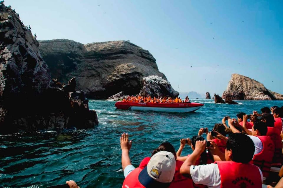 Paracas: Excursión Rápida a las Islas Ballestas | Leones Marinos ...