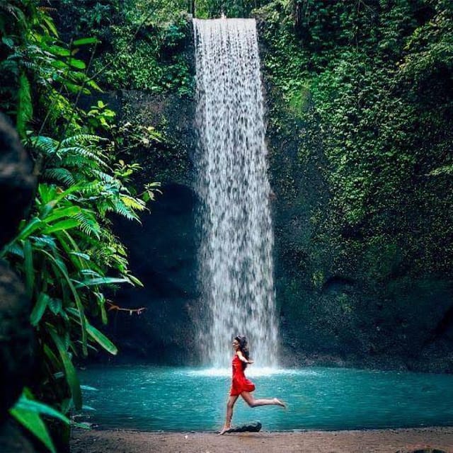 Ubud : Waterfall, Holly Water Temple, Swing/coffee plantati | GetYourGuide