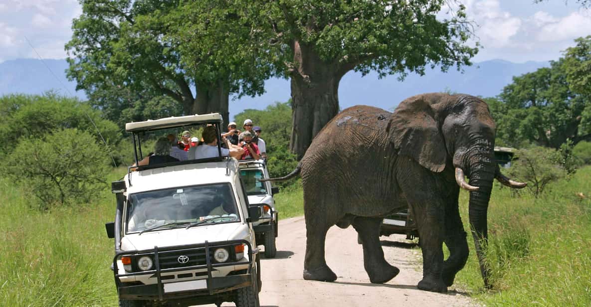 Nairobi: Safari de 5 dias nos parques nacionais Amboseli e Tsavo West ...