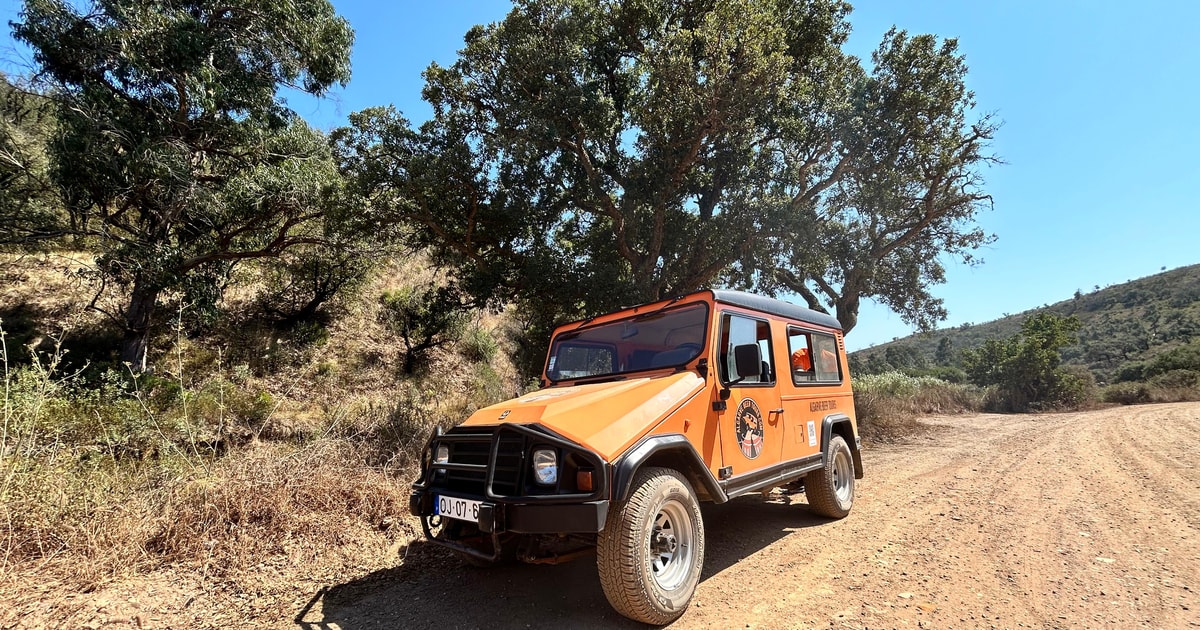 Lagos: Party - UMM Safari-Beer-Tour to the West-Coast | GetYourGuide