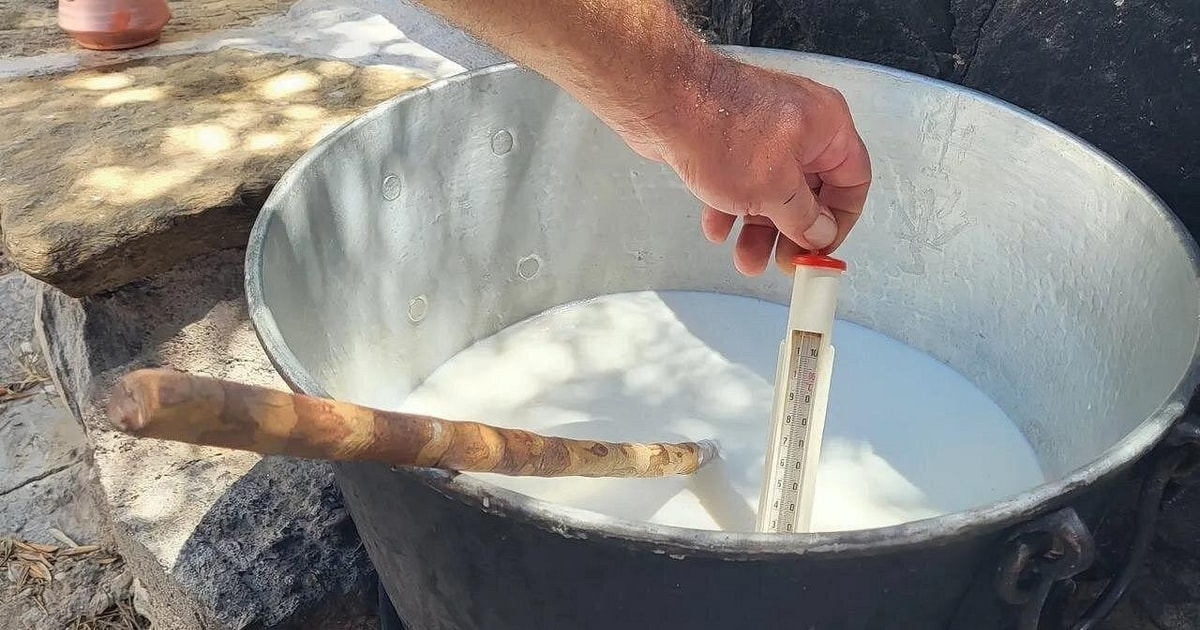 Naxos Private Cheese and Wine 6 Hour Experience | GetYourGuide