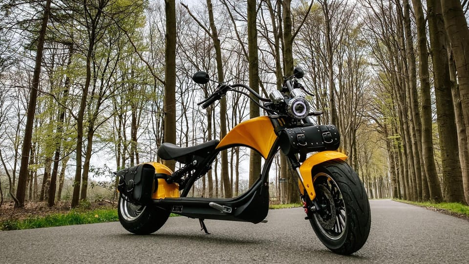 E-chopper | GetYourGuide