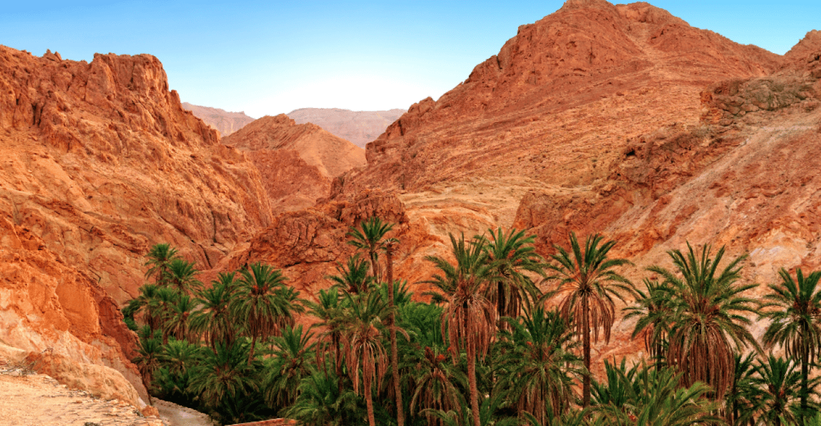 Discover South Tunisia in 4 Days | GetYourGuide