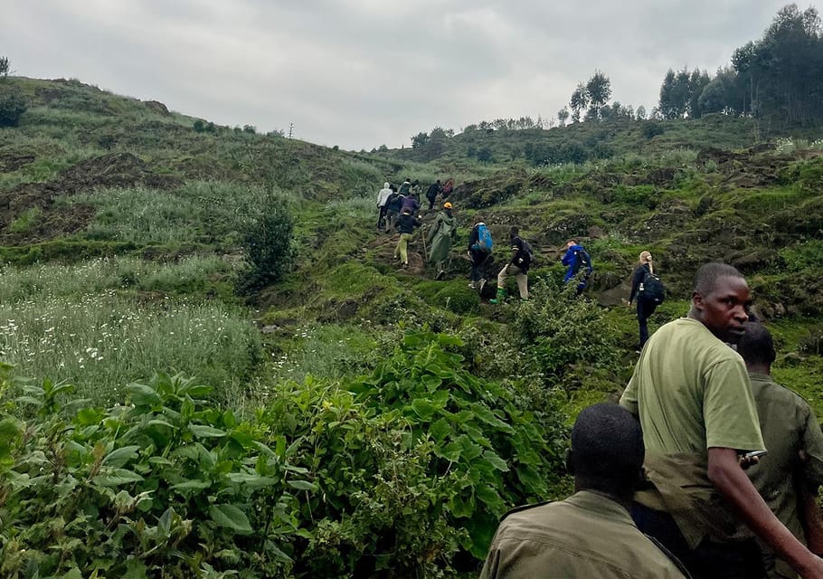 Escursione a Bisoke nel Parco Nazionale dei Vulcani | GetYourGuide