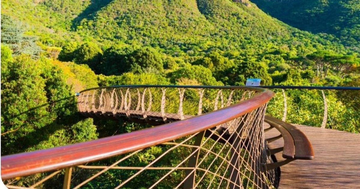 Private Tour: Table Mountain, Constantia Wine & Kirstenbosch | GetYourGuide