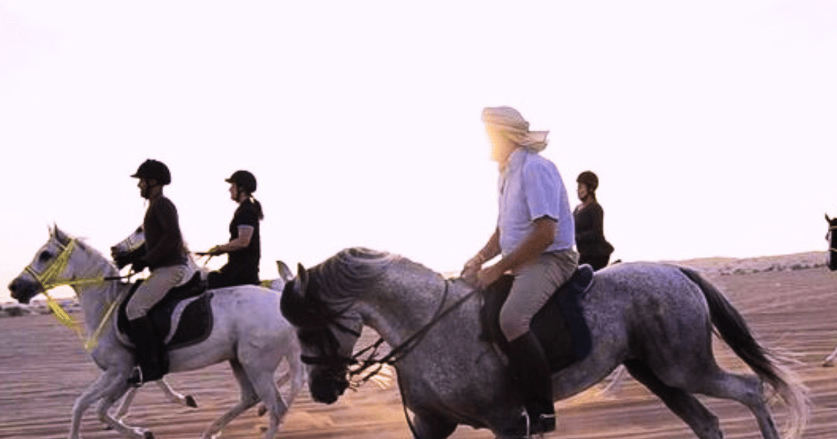 Arabian Horse Riding in Desert Qatar 3 hours tours. | GetYourGuide