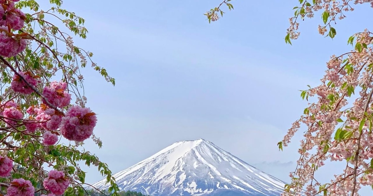 Japan: 4-Day Mt.Fuji, Hakone, Nikko & Snow Monkey Highlights | GetYourGuide