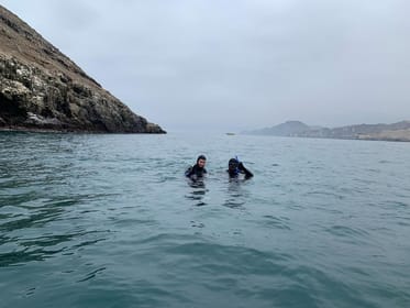 Lima: PADI Open Water Diver- Diving Course | GetYourGuide