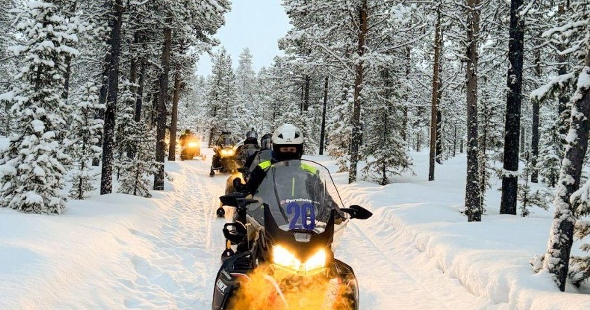 Kiruna: Guided Snowmobile Tour and Swedish Fika Experience | GetYourGuide