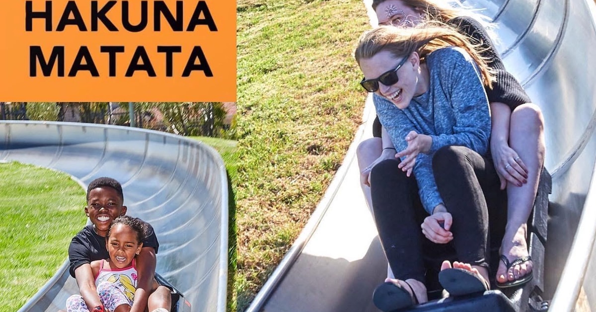 Cape Town: Cool Running/Toboggan Adventure and Hotel Pickup | GetYourGuide