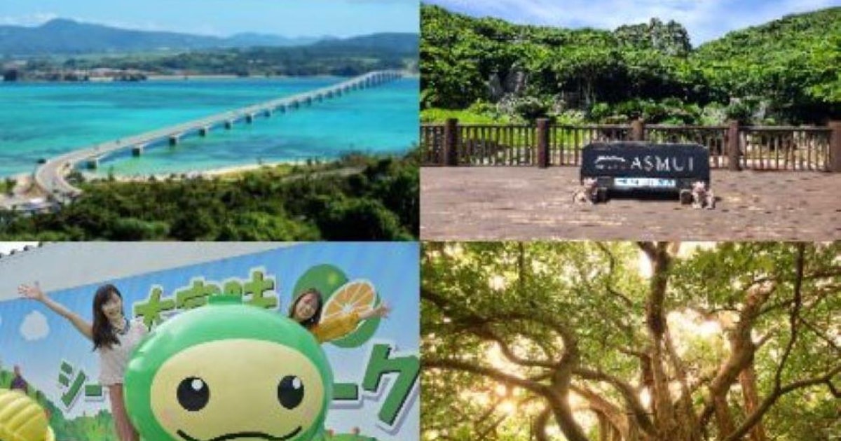 Okinawa: Bus Tour to Yanbaru National Park and Kouri Island | GetYourGuide