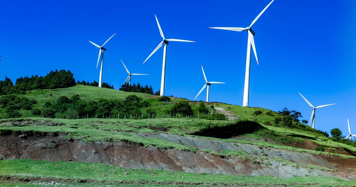 CAMINATA POR LAS COLINAS DE NGONG Y PASEO POR LA NATURALEZA | GetYourGuide