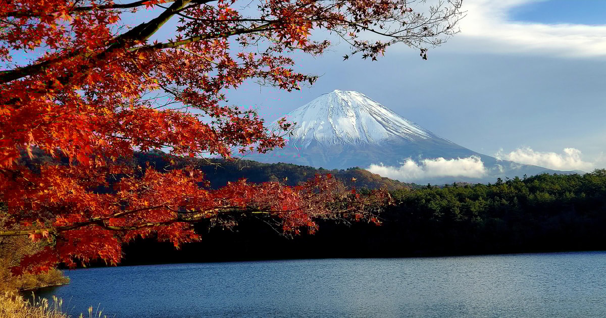 Tour guidato del Monte Fuji e di Hakone con targhe verdi | GetYourGuide