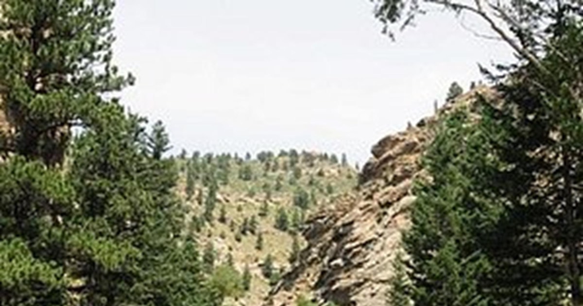 Kremmling: Upper Colorado River Half-Day Kayak Adventure | GetYourGuide