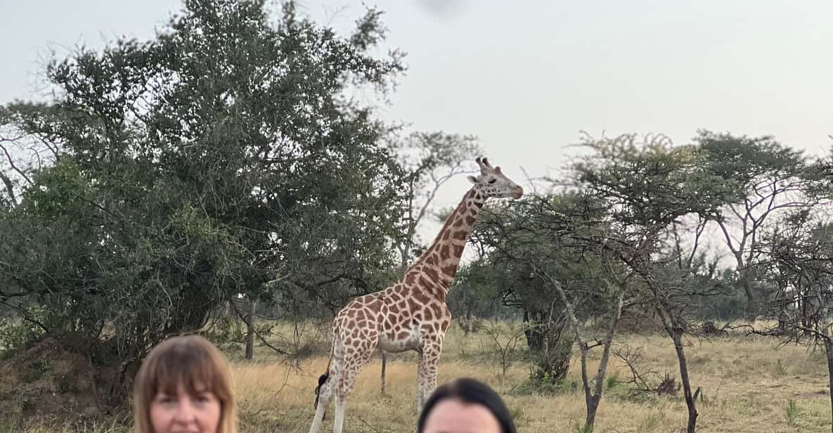 Entebbe: Lake Mburo National Park, Equator Tour & Boat Tour | GetYourGuide