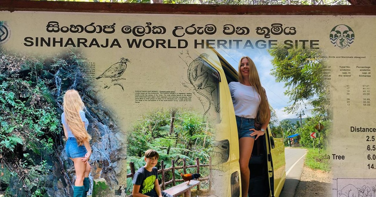 Sinharaja Rain Forest & Tea Factory Trip | GetYourGuide