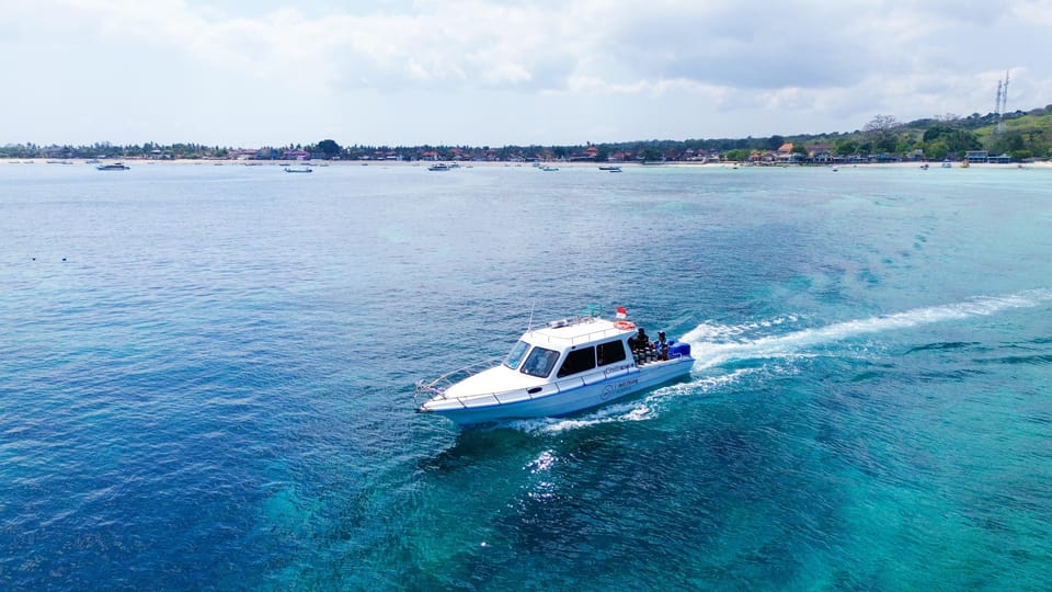 Bali Sanur: Scuba Diving dagstur til Nusa Penida 3 dyk | GetYourGuide