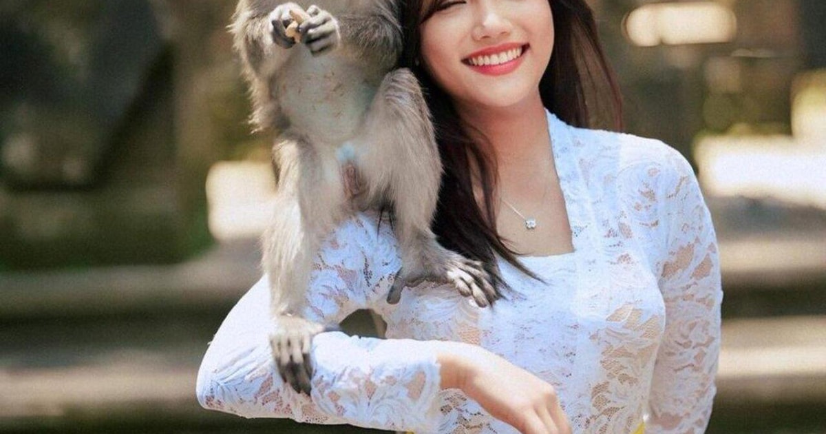 Bali: Sangeh Monkey Forest, Nungnung Waterfall & Tanah Lot | GetYourGuide