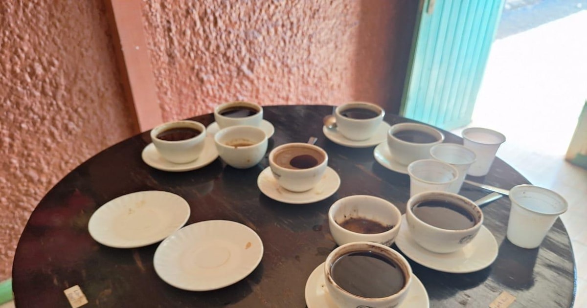 Nairobi coffee farm day tour | GetYourGuide