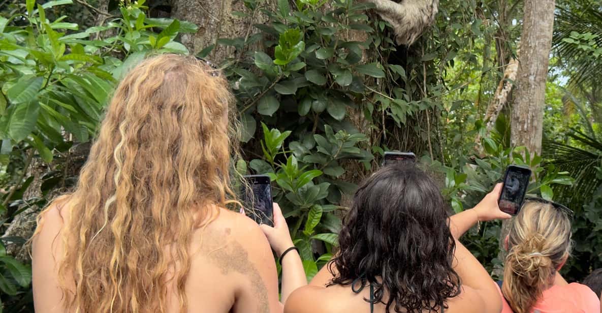 Punta Uva: Sloth and Wildlife Kayaking Tour | GetYourGuide