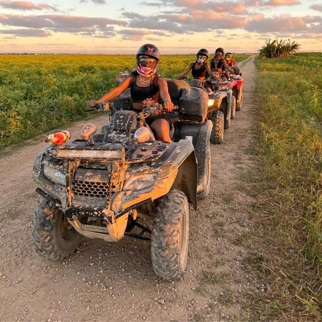 Best ATV Tour in Miami | GetYourGuide