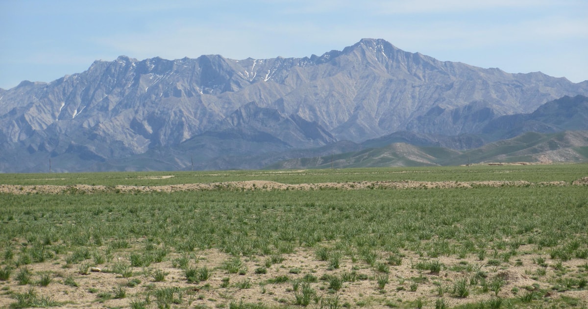 Buchara/Samarkand: Nurata, Aydarkul-See & Wüste – Tagestour | GetYourGuide