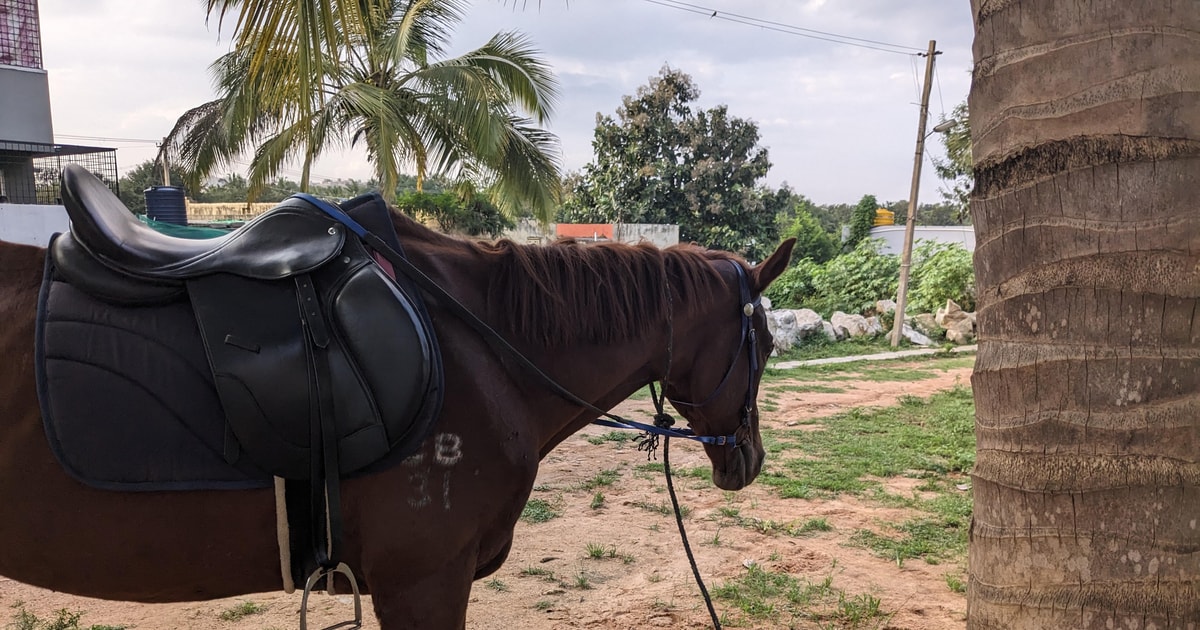 Bangalore: Safari med hästridning | GetYourGuide