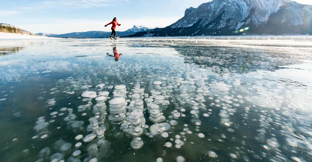Banff/Calgary: Lake Louise Ski Resort & Abraham Lake Tour | GetYourGuide