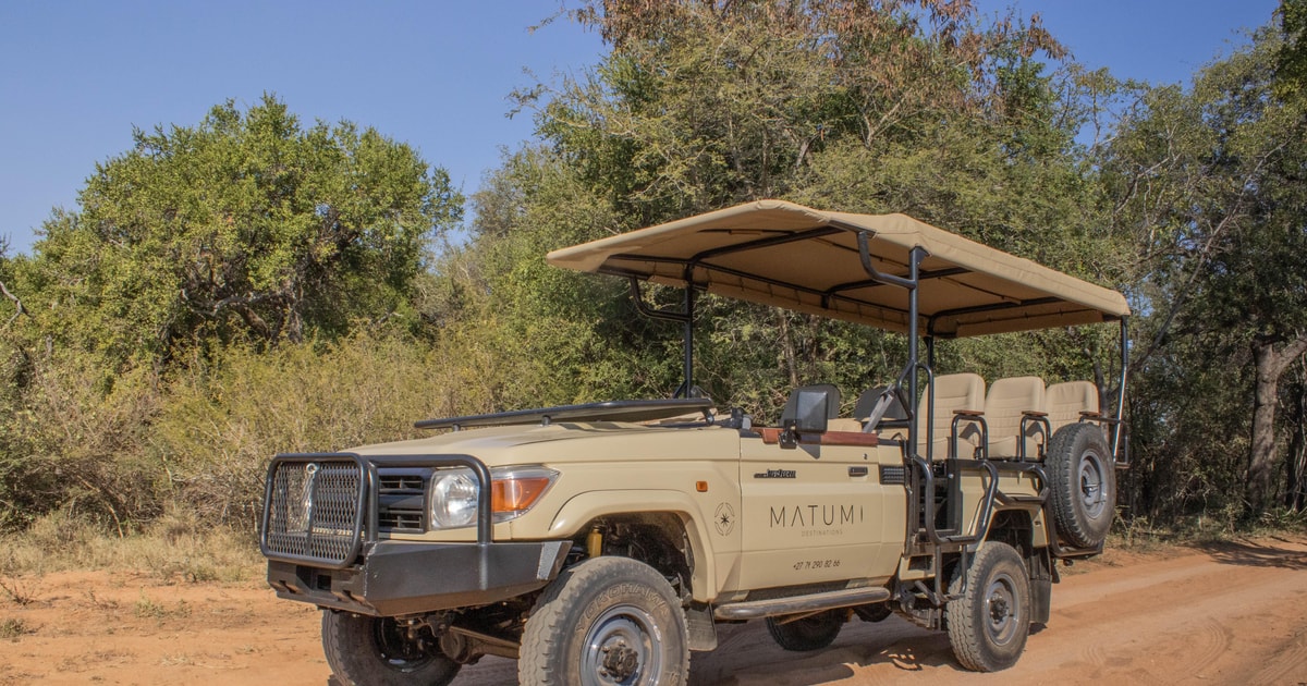 Big 5-safari am eller pm | GetYourGuide