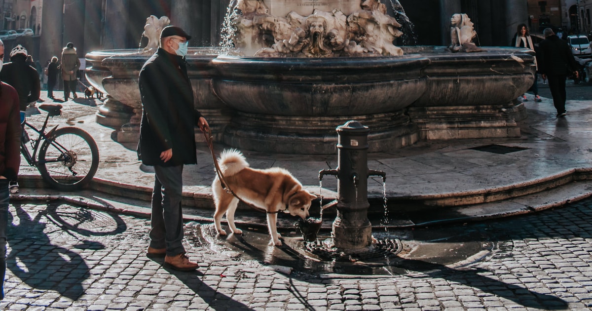 1 Hour Guided Tour in Pantheon | GetYourGuide