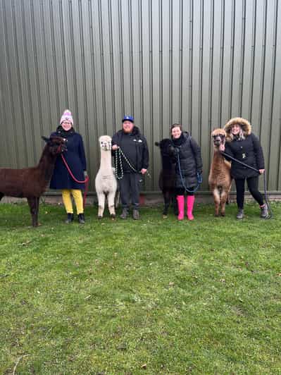 Loch Ness: Full day private tour with Alpaca Adventure | GetYourGuide