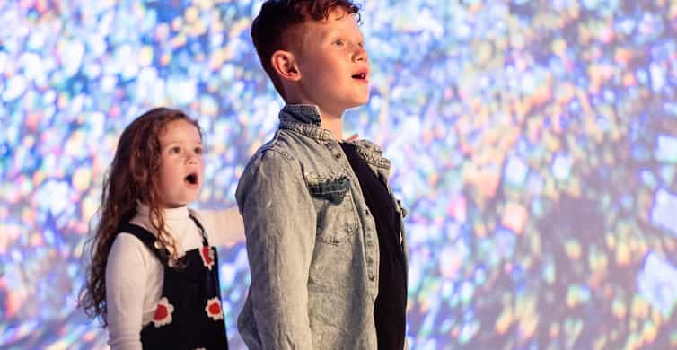 DC: All Creation Sings- Museum of the Bible Exhibition Entry | GetYourGuide