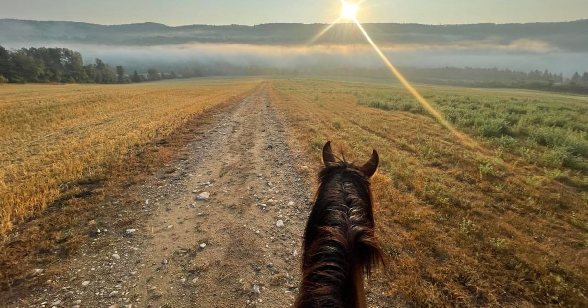 Romantikus lovaglás a naplementében : La Crépuscule | GetYourGuide
