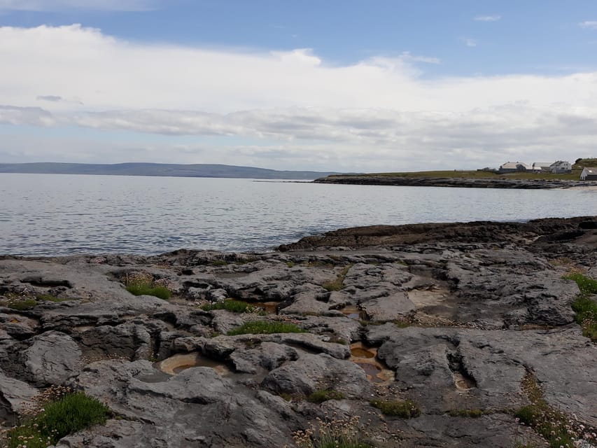 Dublin: Nature & Hiking in Howth (Walking Tour) | GetYourGuide