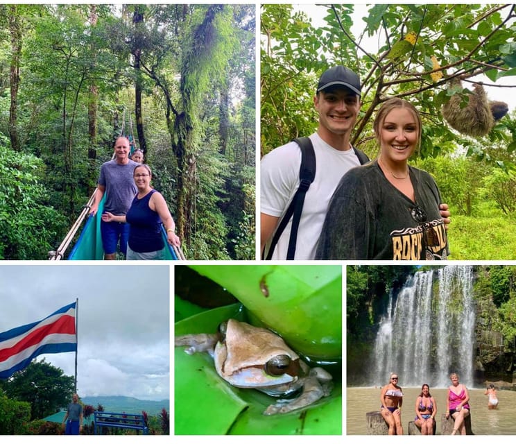 Liberia: Sloths, Rainforest, Waterfall, Nature & wildlife. | GetYourGuide