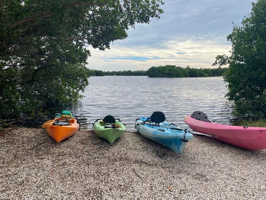 Everglades Kayak Eco Tour | GetYourGuide