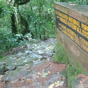 Ultimate Kilimanjaro: 7-Day Rongai Route Expedition | GetYourGuide