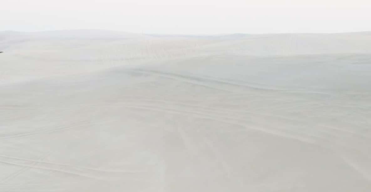 Private-Doha Half Day Desert Safari/Sand Boarding | GetYourGuide