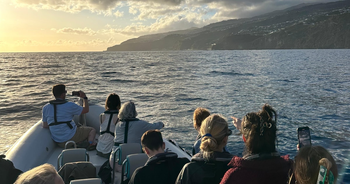 Funchal: Sonnenuntergang über dem Wasser mit dem RIB-Boot +opt Delfin ...