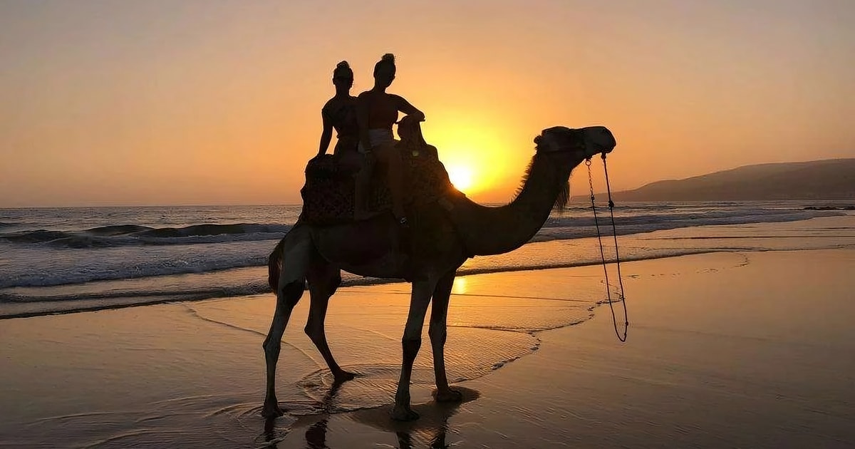 From Agadir: Sunset Camel Ride with BBQ Dinner and Transfer | GetYourGuide